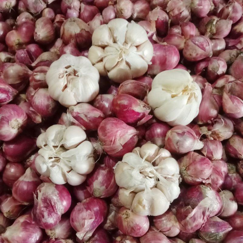 Jual Bawang Merah 1 Kg ( Bamer 1 kg Baput 250g ) | Shopee Indonesia