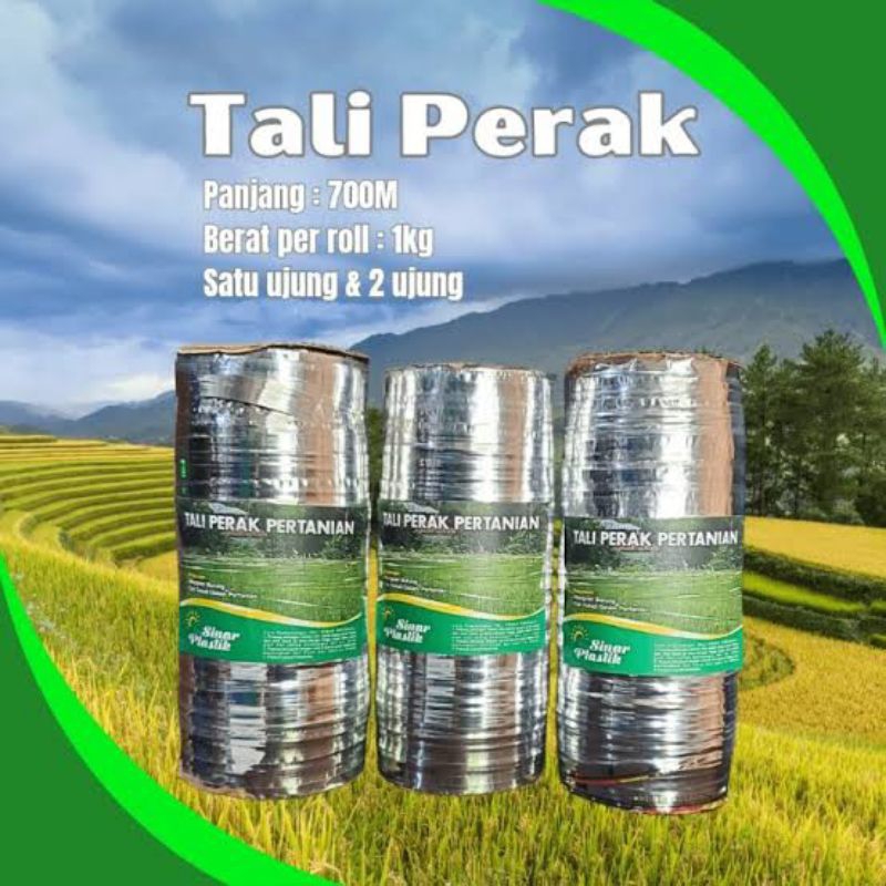 Jual Tali Perak 700 Meter 1KG Pengusir Burung - Tali Perak Pertanian ...