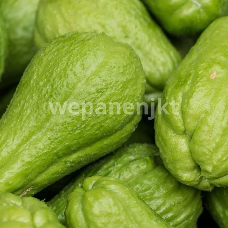 Jual Labu Siam Jipang Labu Besar Per 1kg | Shopee Indonesia