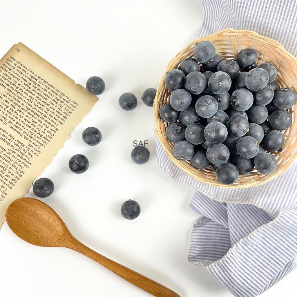 Jual SAF Blueberry Artificial – Props Foto Buah Plastik Realistis ...