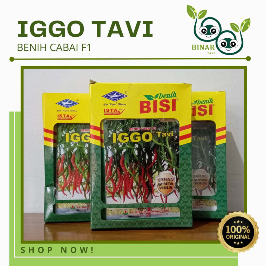 Jual CABAI IGGO TAVI Kemasan 10 & 50 gr - Benih Cabai F1 Cap Kapal Terbang | Shopee Indonesia