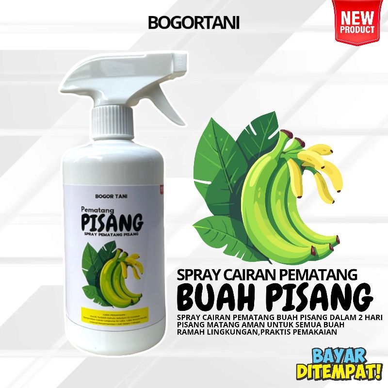 Jual Bogortani - OBAT PEMATENG PISANG | Mateng Dalam 2 Hari | PISANG ...