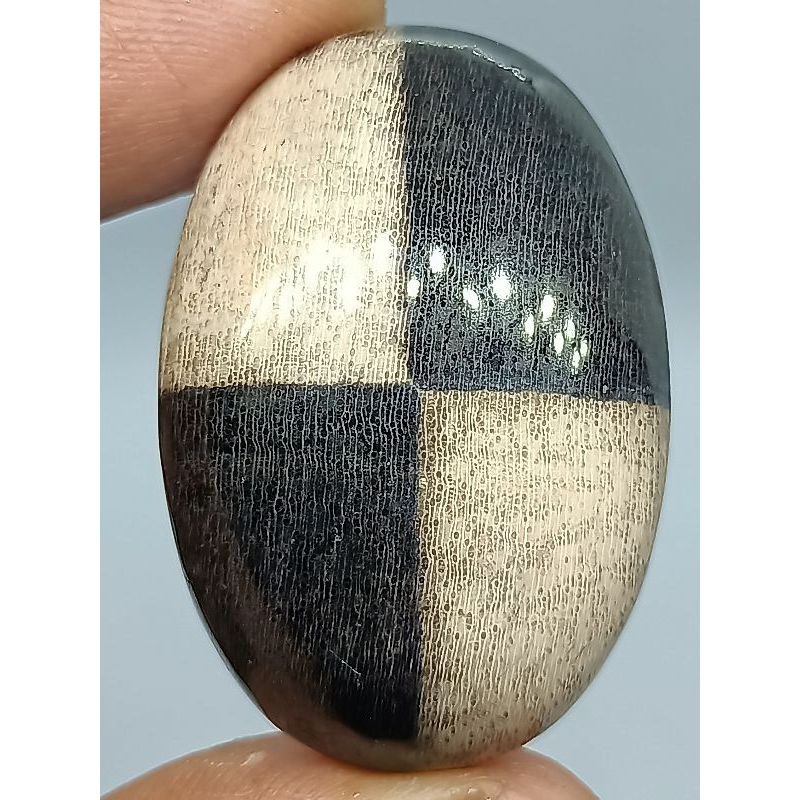 Jual Batu Posil Galih Kelor Tapak Jalak Hitam Putih , Jumbo | Shopee ...