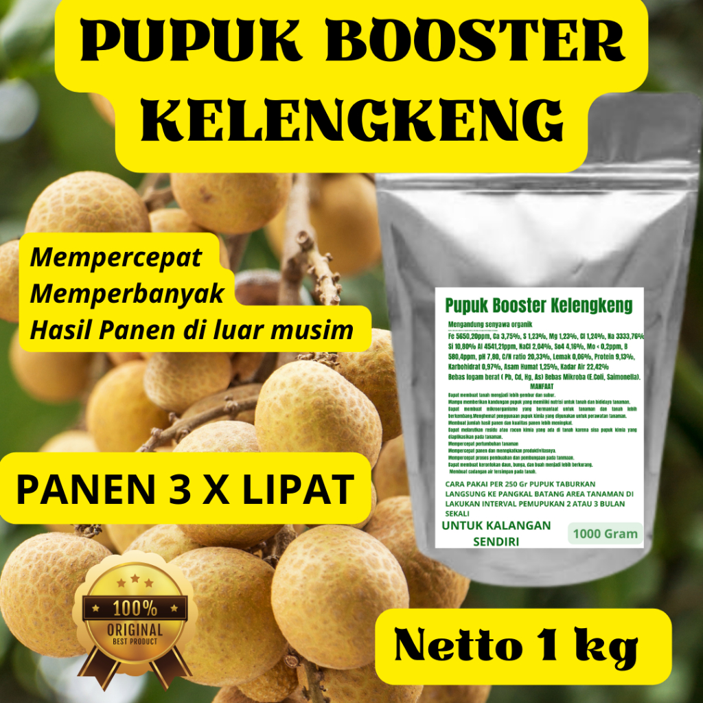 Jual MO Pupuk organik booster perangsang dan penyubur buah Kelengkeng cepat berbuah Lebat manis ...