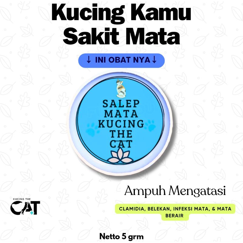 Jual obat mata kucing clamidia - salep mata kucing dan anjing | Shopee ...