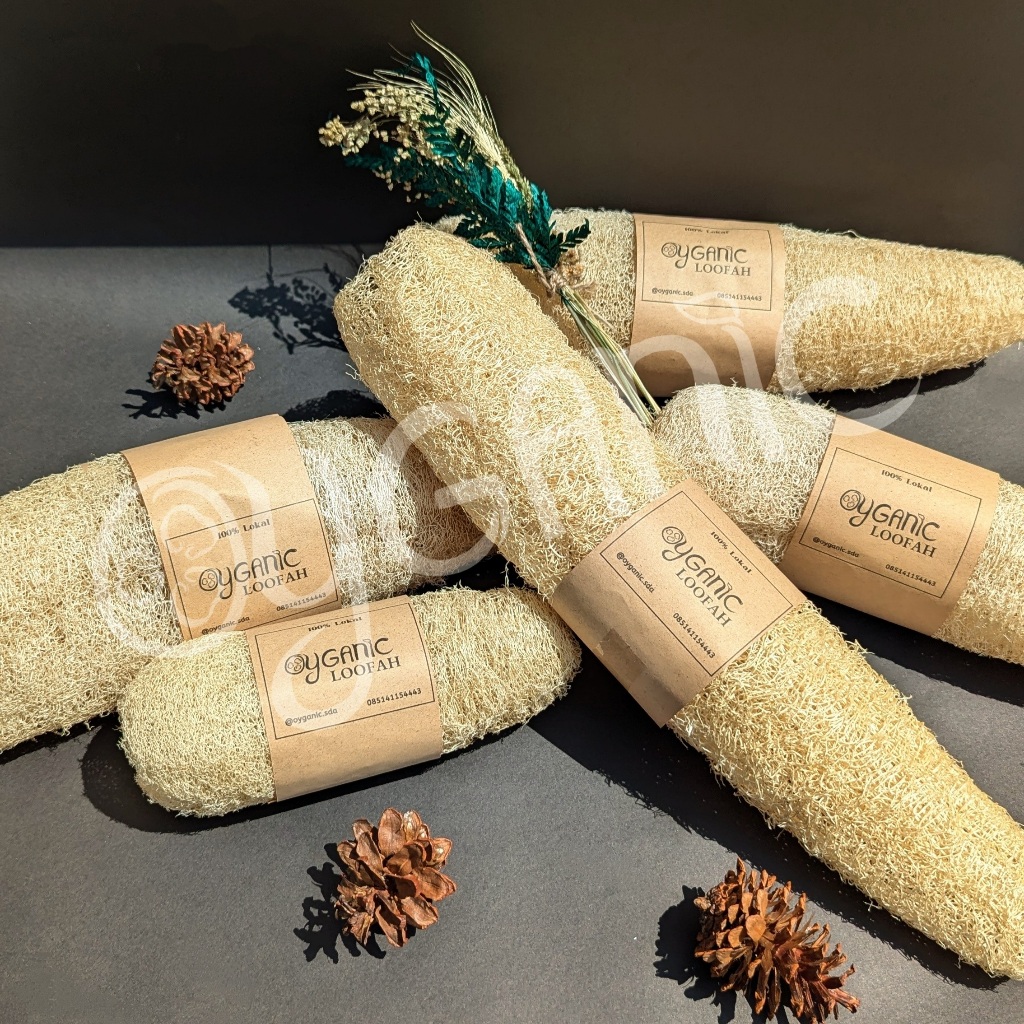 Jual Loofah sponge cuci piring / sponge mandi | gambas | oyong | 100% ...