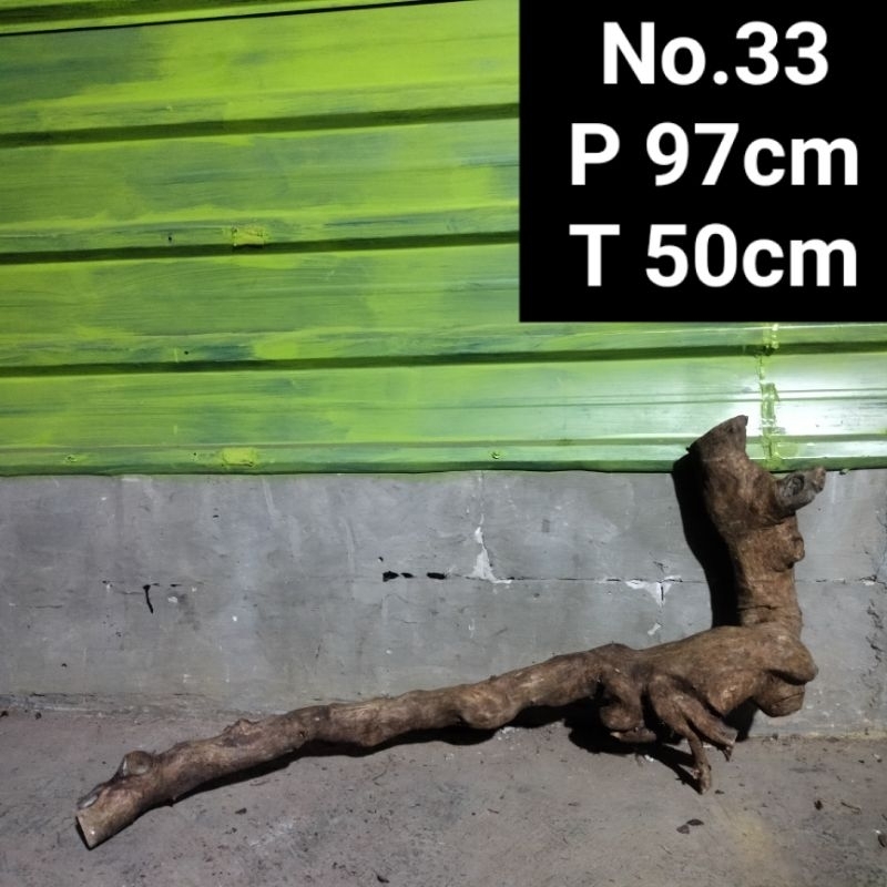 Jual Akar santigi laut kayu santigi hiasan aquascape aquarium 33 ...