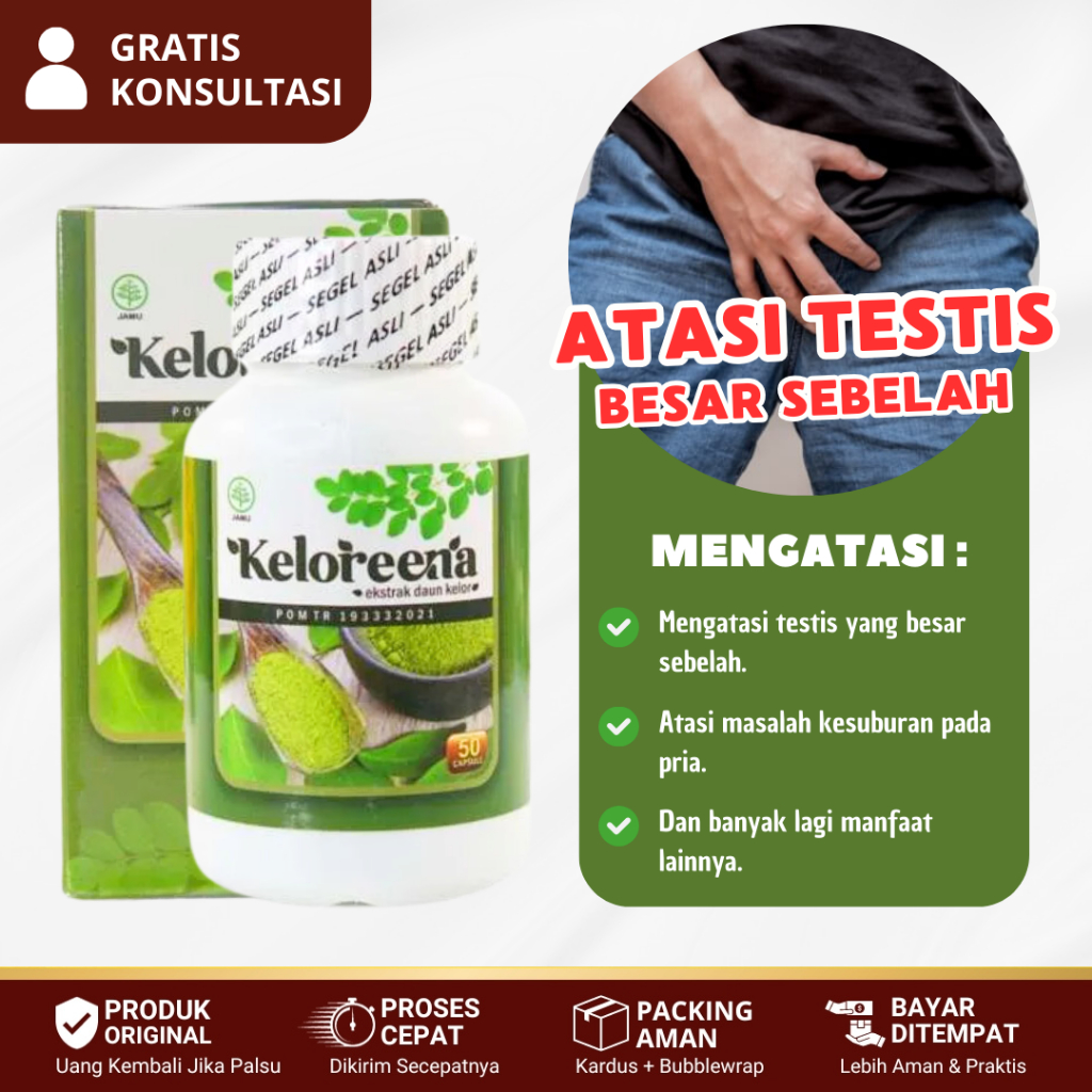 Jual Obat Testis Membesar, Testis Nyeri Sebelah Kiri / Kanan, Testis ...