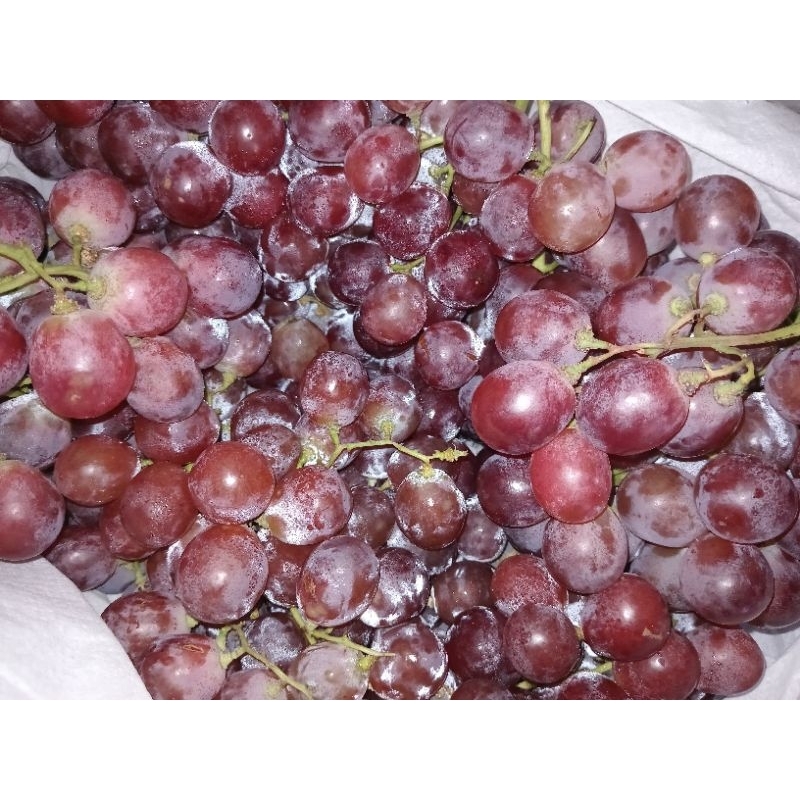 Jual Anggur Red Globe RRC 500 gram | Shopee Indonesia