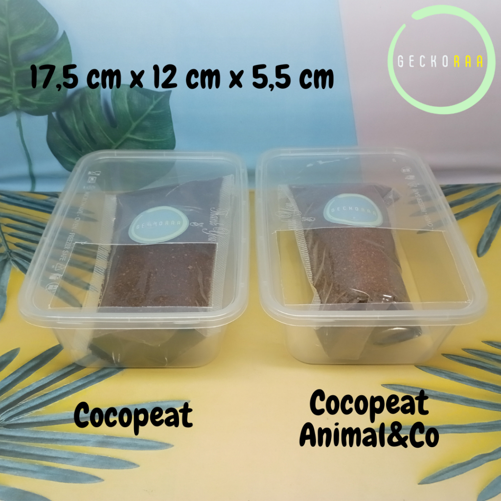 Jual Paket Tempat Bertelur Laying Egg Box dengan Cocopeat Hiding Cave ...