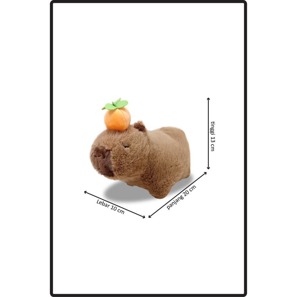 Jual Boneka Capybara Fruith Animal Capybara With Fruith Cute | Shopee ...