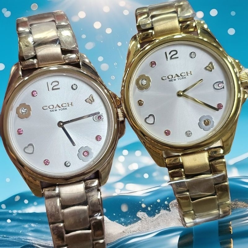 Jual Coach Slim Type Grand Original Jam Tangan Wanita | Shopee Indonesia
