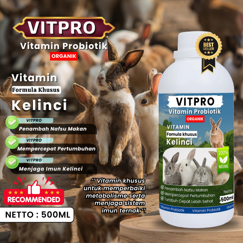 Jual VITPRO Vitamin Probiotik Vitamin Suplemen Kelinci Hias Anggora ...