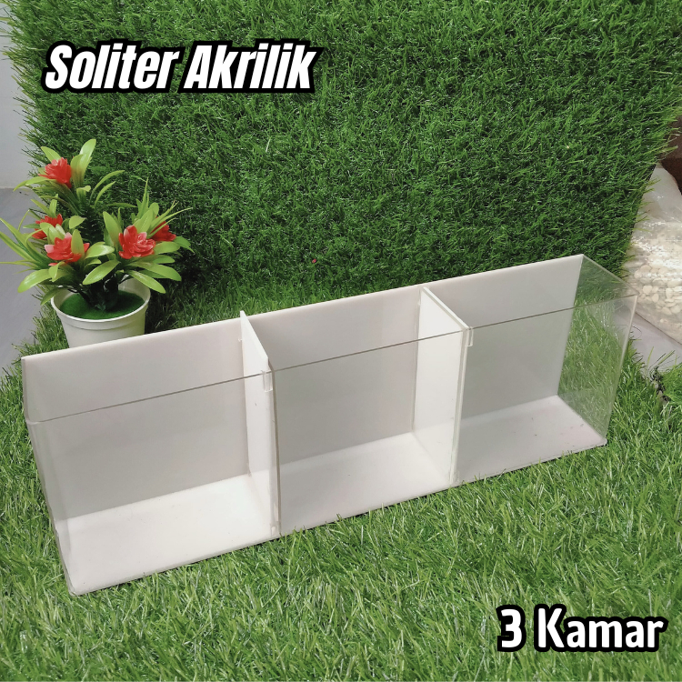 Jual Promo Soliter Akrilik Cupang 3 Kamar Akuarium Cupang Bahan Full ...