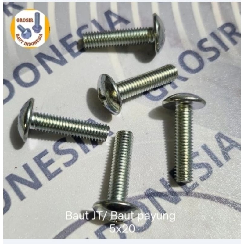 Jual Baut JT obeng + / Baut Payung 5x20 Putih (paket 20pcs) | Shopee ...