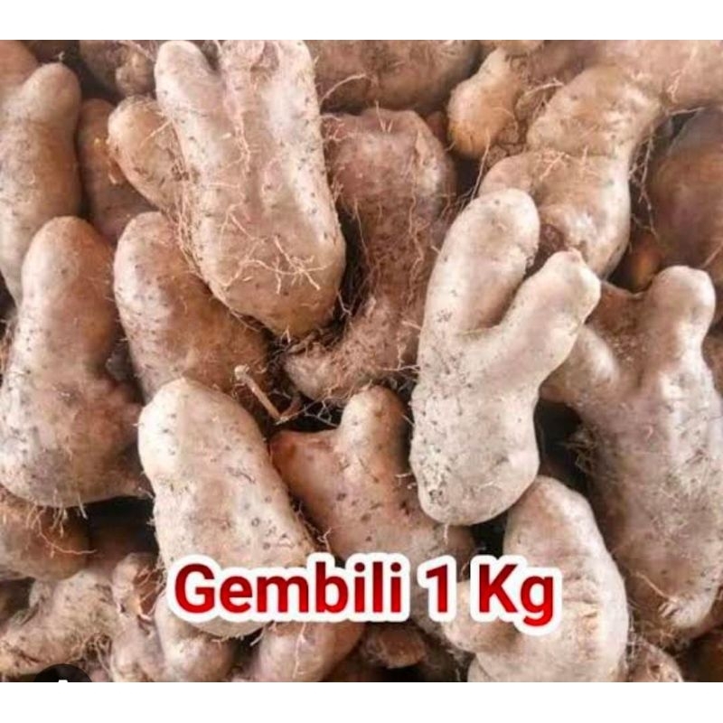 Jual Gembili Segar 1 Kg Pulen Obat Herbal Tradisional Termurah | Shopee ...