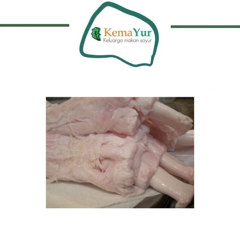 Jual URAT OTOT SAPI 1KG | Shopee Indonesia