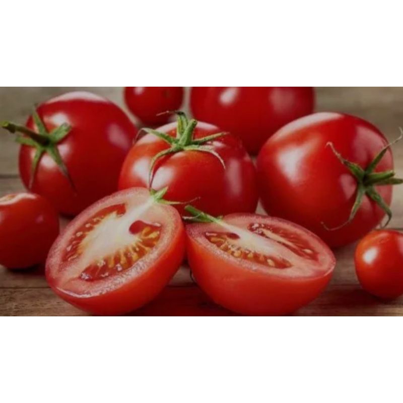 Jual Tomat Merah Segar Fresh Mengkal Matang 500g - 1000g. | Shopee ...