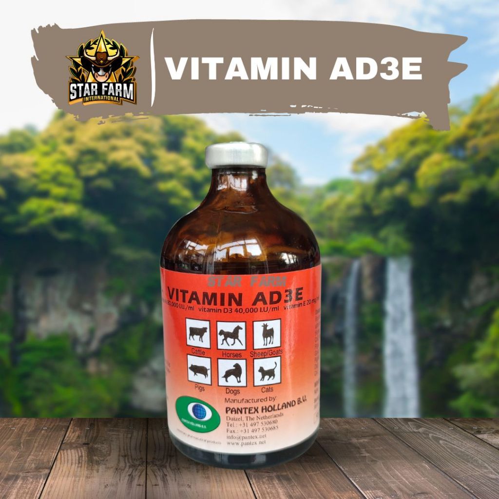Jual Pantex Vitamin AD3E Injeksi 100ml - Star Farm | Shopee Indonesia