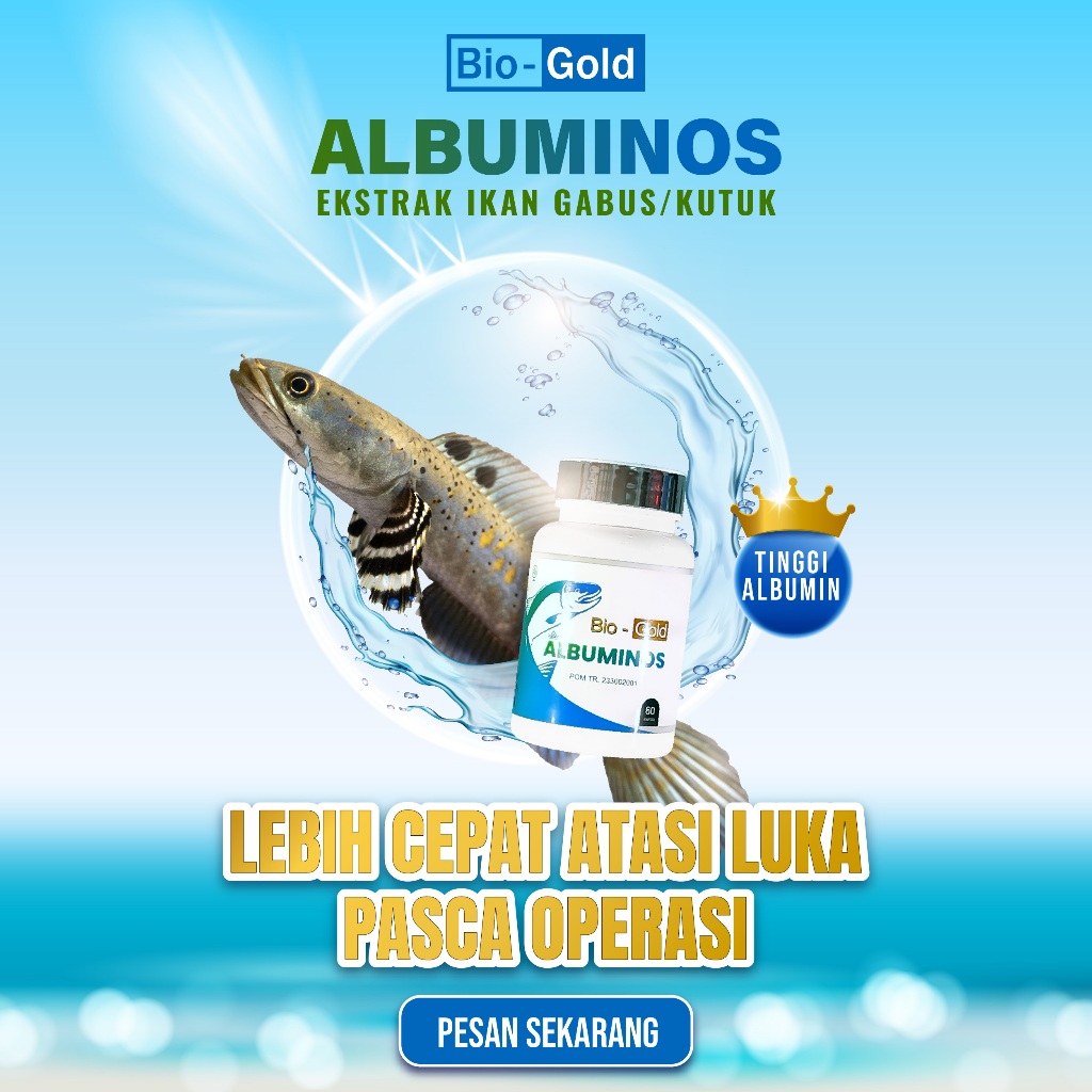 Jual Bio Gold - Albuminos Ekstrak Ikan Gabus 500 mg Untuk Membantu ...