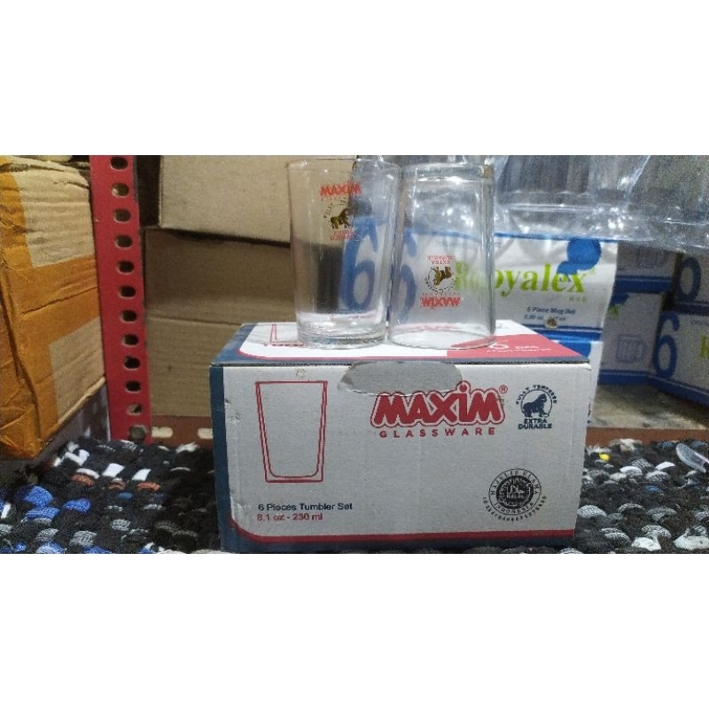 Jual [CUCI GUDANG] MAXIM Gelas kaca | gelas susu kopi bir teh | gelas non tangkai/6 pieces ...