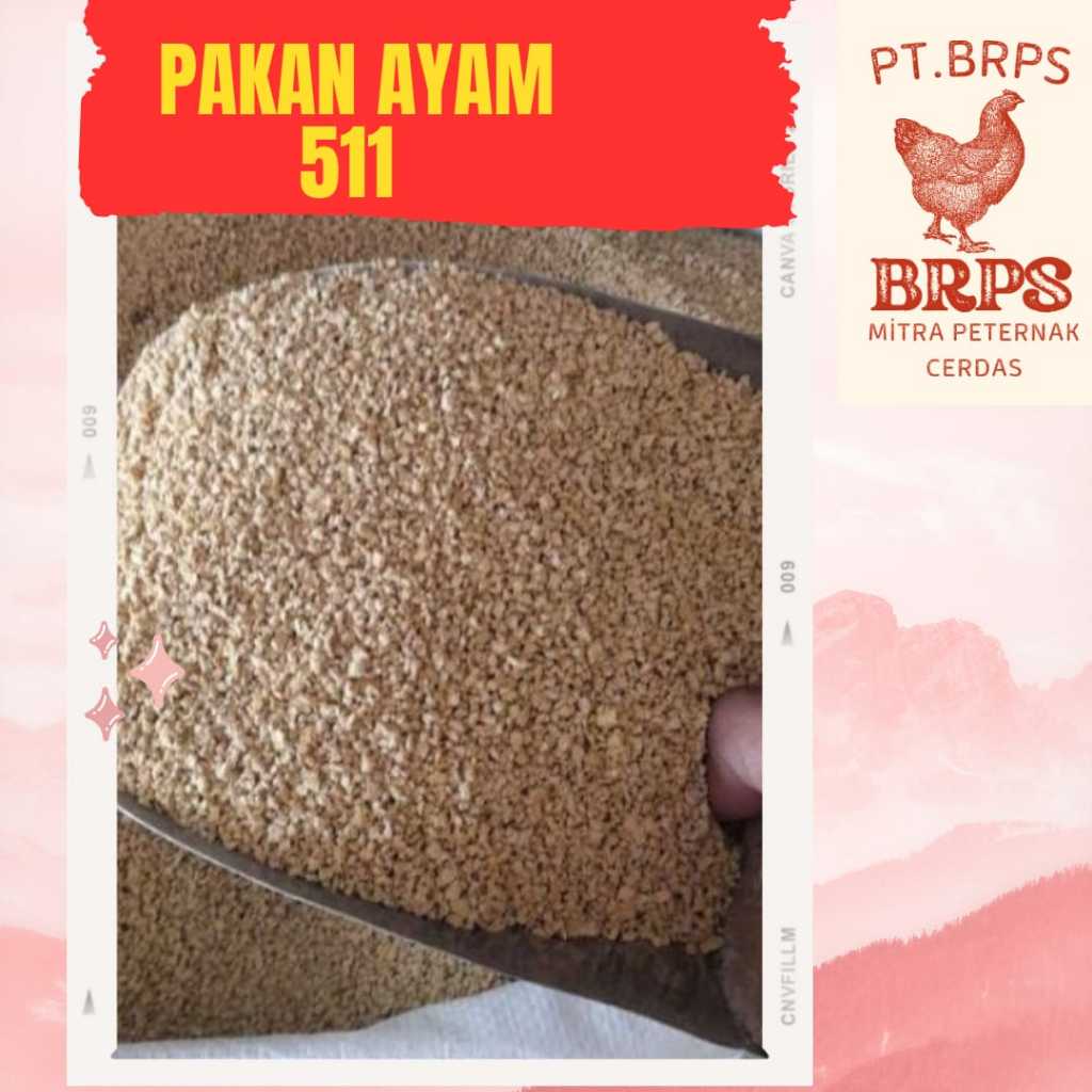 Jual Pakan Ayam 511 Super untuk anak ayam isi 1 kg | Shopee Indonesia
