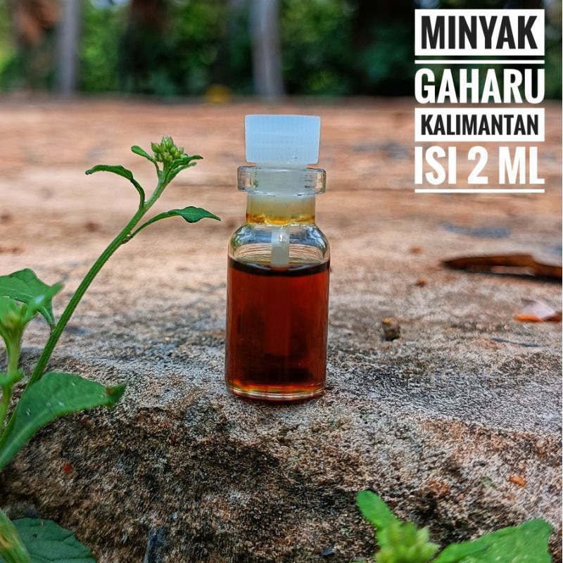 Jual Minyak Gaharu Minyak Kayu Gaharu Asli Kalimantan 2ml | Shopee ...