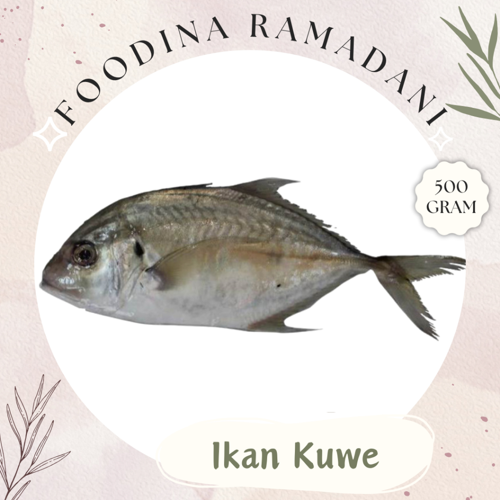 Jual IKAN KUWE Kwe - Giant Trevally Fish Fresh [ Berat 500gr ] Harga ...