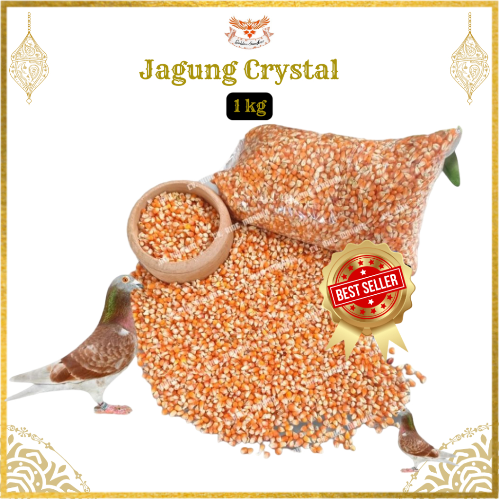 Jual Jagung Kristal Jos Kemasan 1kg Pakan Merpati Dara Ayam Unggas ...