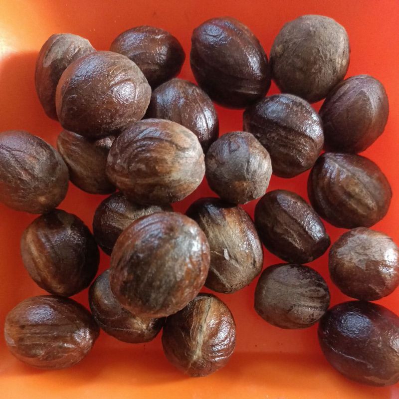 Jual 100 Gram Buah Pala Utuh - Rempah khas Minang | Shopee Indonesia