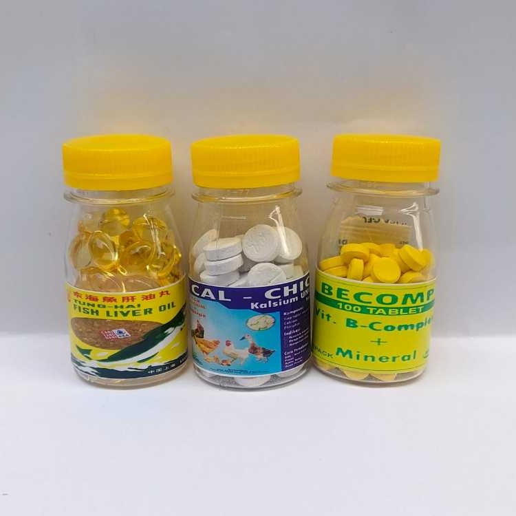 Jual MINYAK IKAN TUNG HAI SSA CALSIUM CAL CHICK BECOMP VITAMIN MAKANAN ...