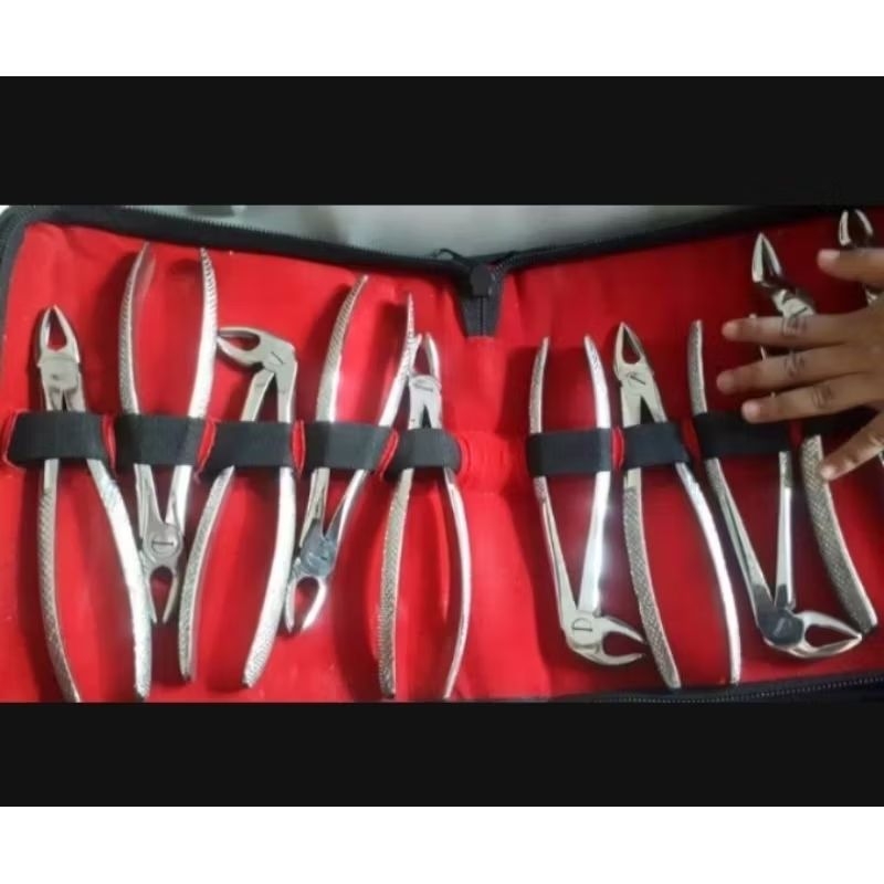 Jual Tooth Forceps Adult Stardent Set isi 10/ Dental Tang Cabut Gigi ...