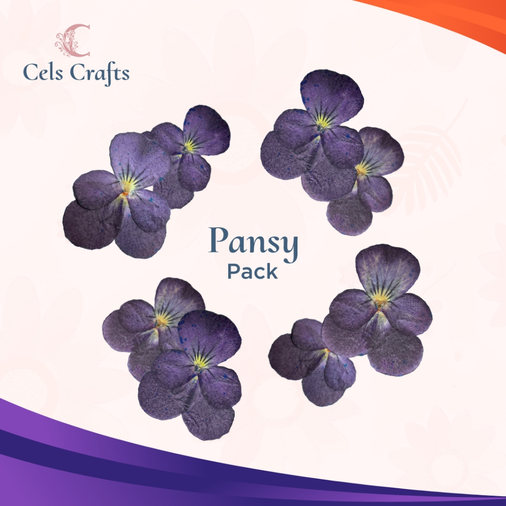 Jual [Pack] Pansy Flower / Viola - Hi Quality Pressed Flower For ...