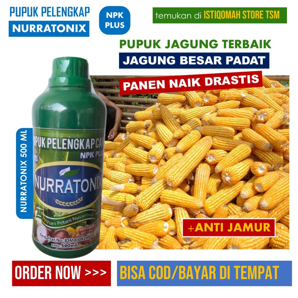 Jual PUPUK JAGUNG ORGANIK Terbaik NURRATONIX ANTI JAMUR TONGKOL Jagung Panjang Butir Jagung ...