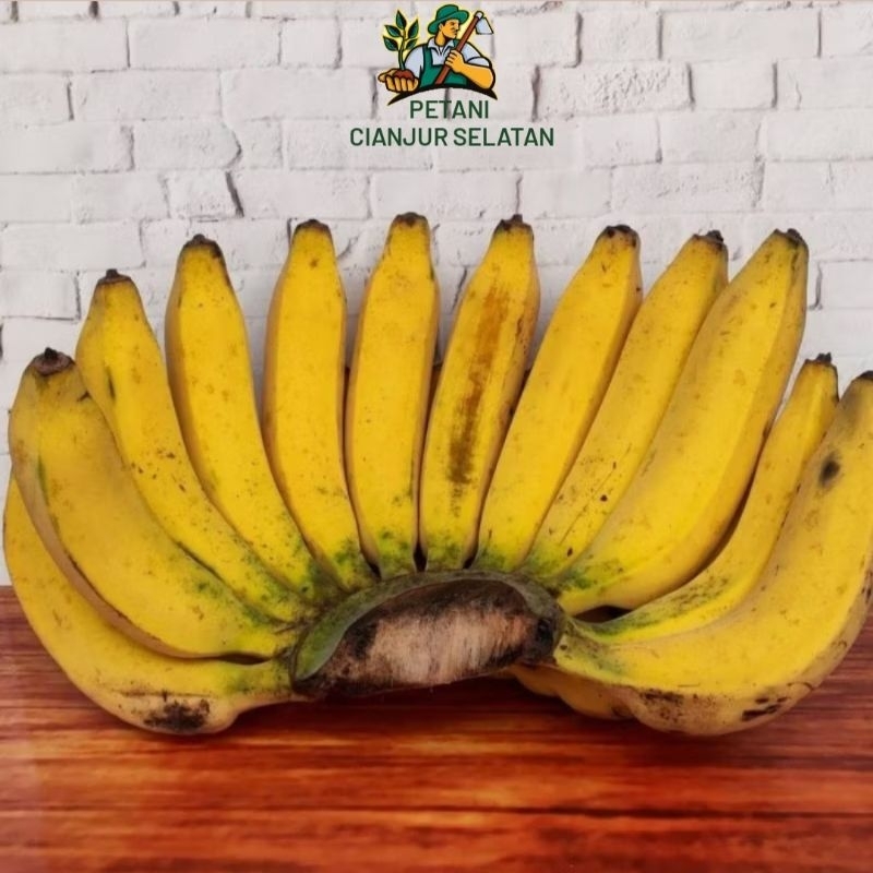 Jual 1kg Pisang Raja Bulu Super | Pisang Raja Madu | Pisang Raja KUL ...