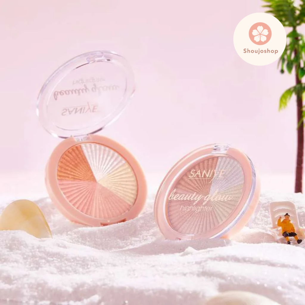 Jual SANIYE 5 Warna Glitter Highlighter Douyin Wajah Highlight ...