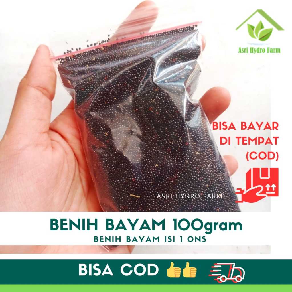 Jual BENIH BAYAM 100 gram / 1 ons bayam cabut biji sayur bayam benih ...