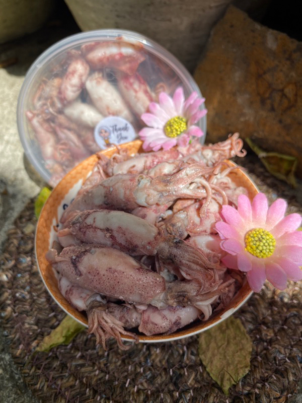 Jual Baby cumi 250 gram | Shopee Indonesia