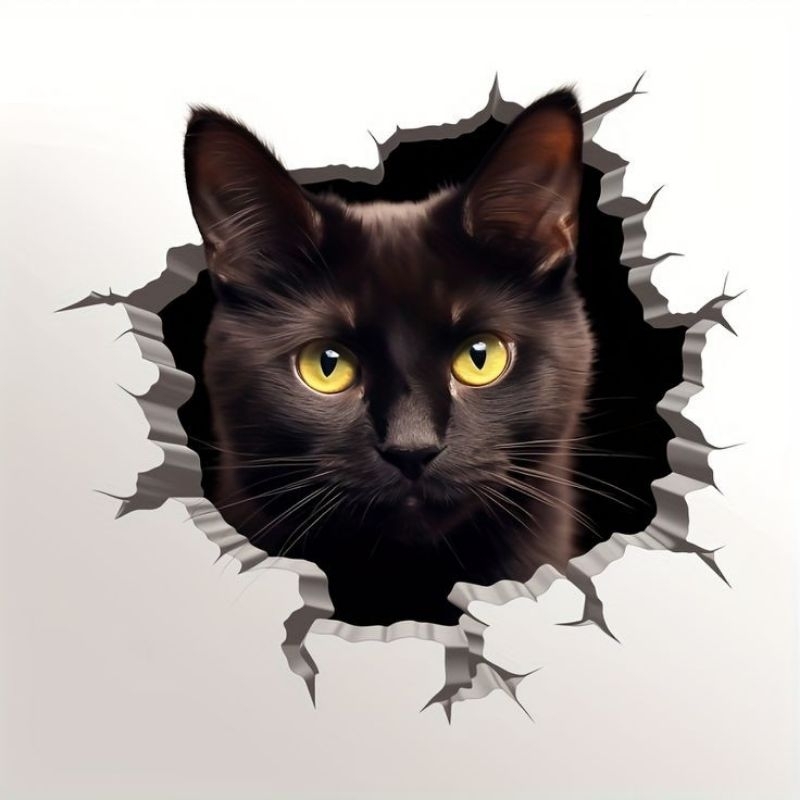 Jual stiker gambar kucing lucu size 15x20 cm print cut | Shopee Indonesia