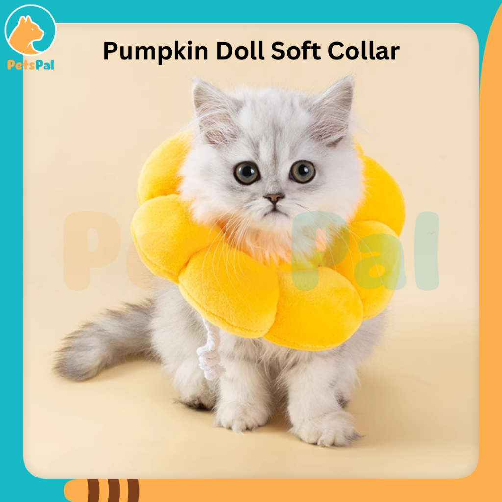 Jual Cat Collar Kalung Kucing Boneka Labu Lembut Anti Jilat Adjustable ...