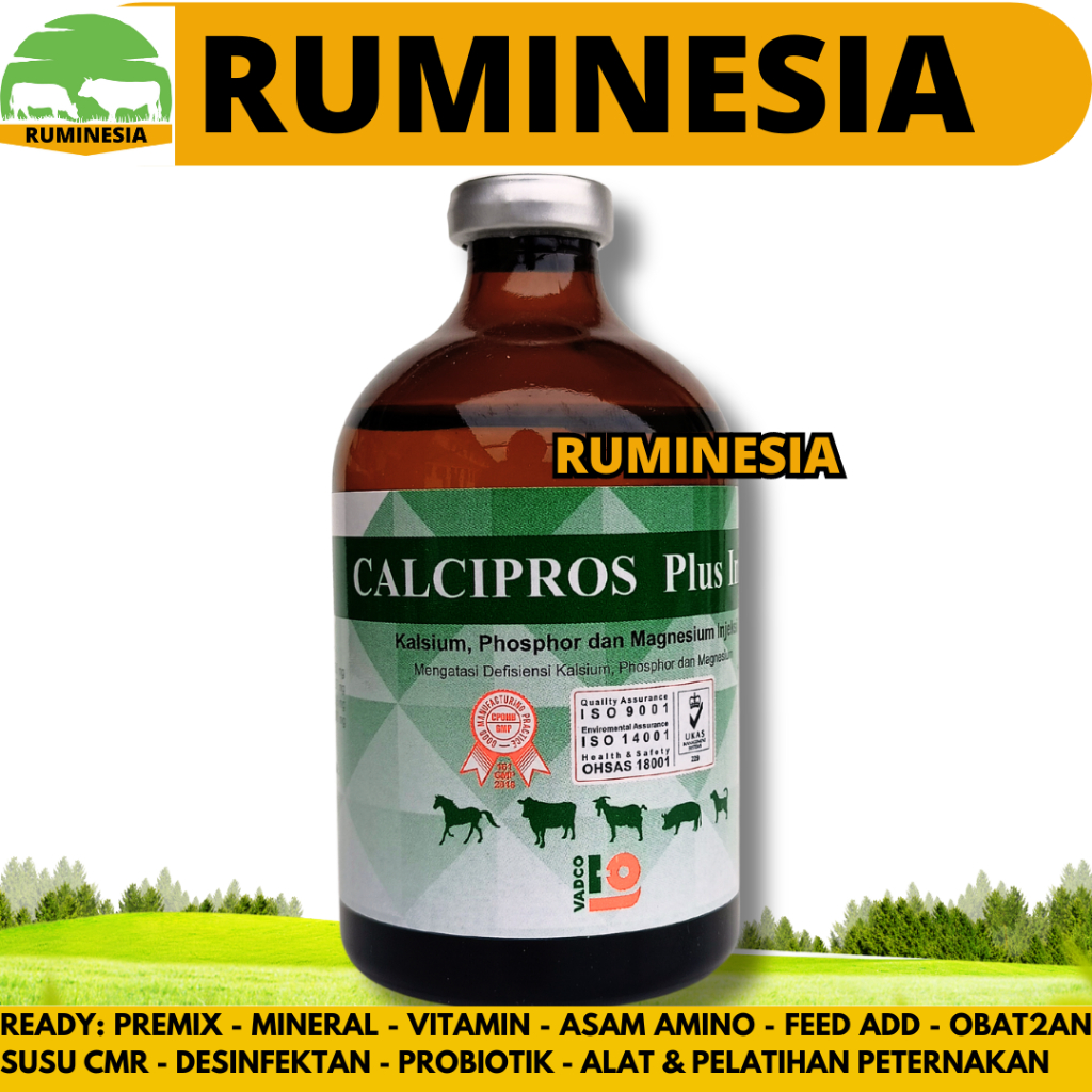 Jual CALCIPROS PLUS INJ 100ML - Obat Sapi Kambing Ambruk Lumpuh ...
