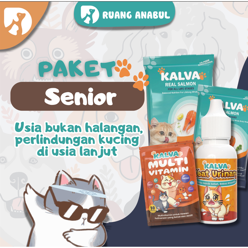 Jual PAKET BUNDLING - Paket Senior Kucing dan Anjing - Vitamin Capsule ...