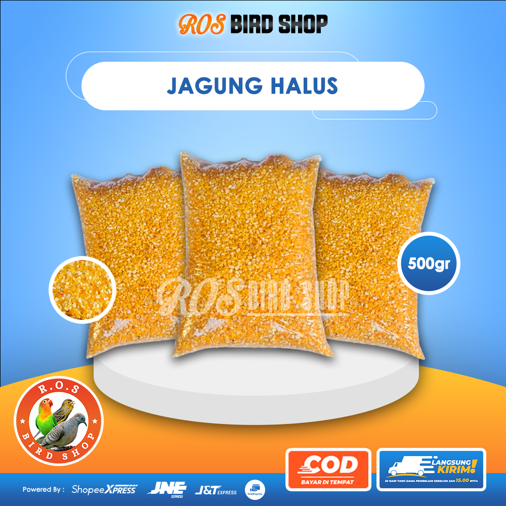 Jual 500gr Jagung giling halus pakan ayam burung dara merpati | Shopee ...