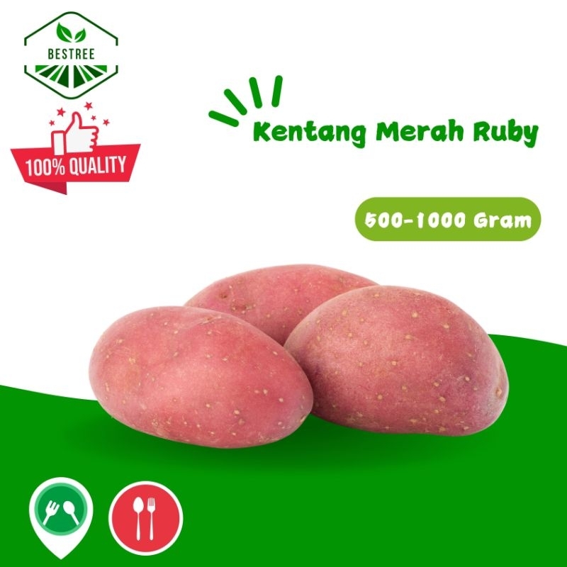 Jual Kentang Merah Ruby | Shopee Indonesia