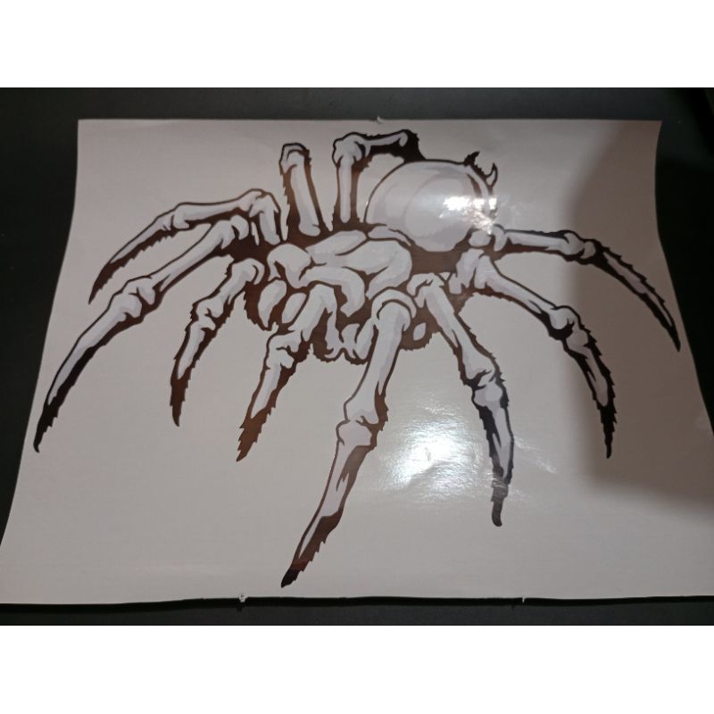 Jual stiker vinyl gambar besar (laba-laba putih) | Shopee Indonesia