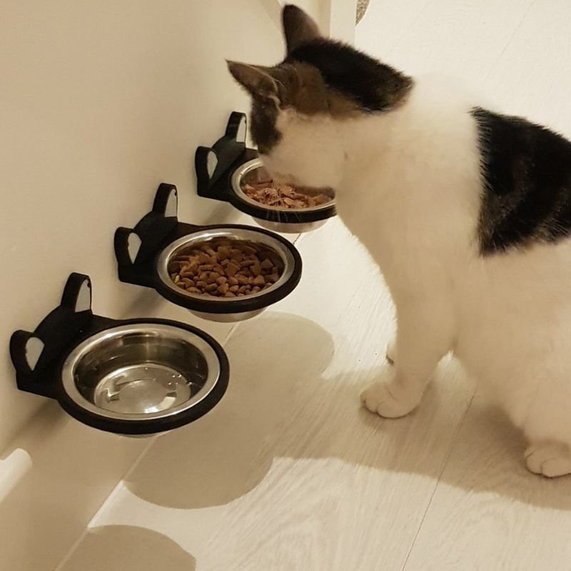 Jual Tempat makan kucing / Cat Bowl / Mangkok kucing stainless tempel ...