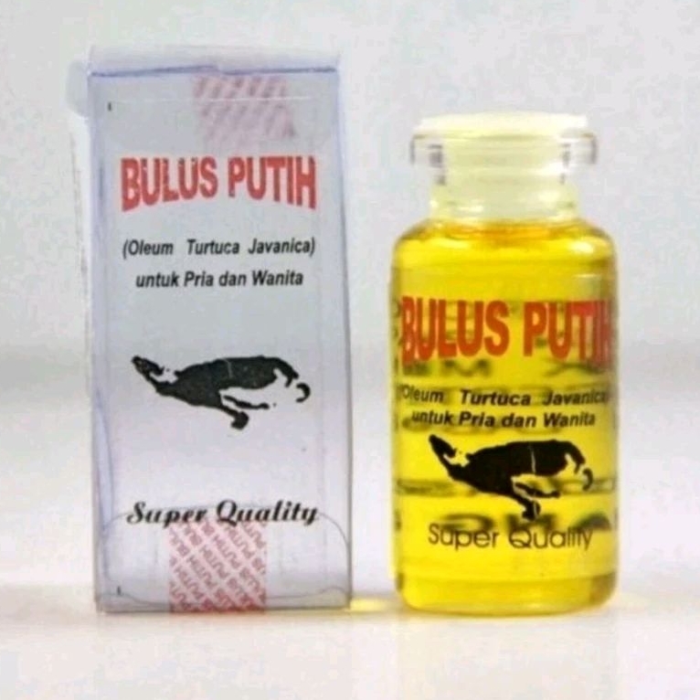 Jual MINYAK BULUS PUTIH(A) | Shopee Indonesia