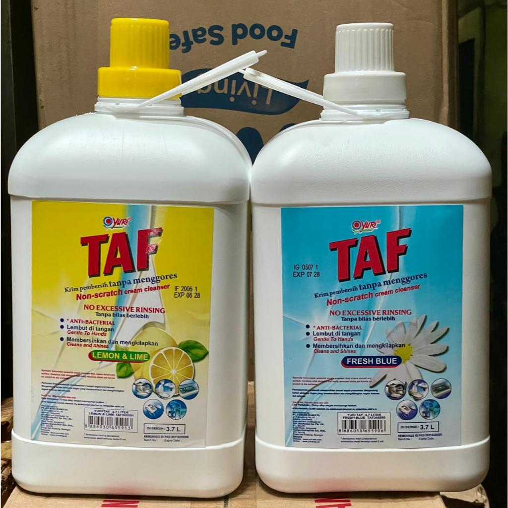 Jual Yuri Taf Jerigen 3700ml TAFF TAF Krim Pembersih Antibacterial ...