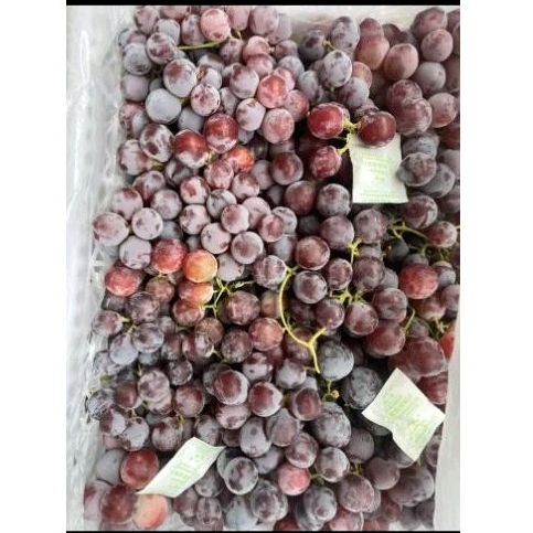 Jual Anggur Red Globe (PACK) | Shopee Indonesia