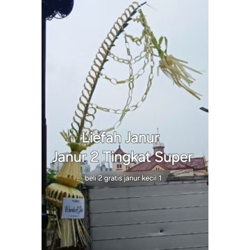 Jual Janur Pernikahan/ Janur Kuning/ Janur Besar Premium | Shopee Indonesia